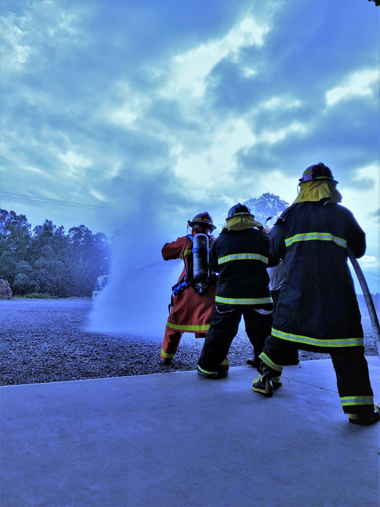 Notícias - Premium Tabacos do Brasil